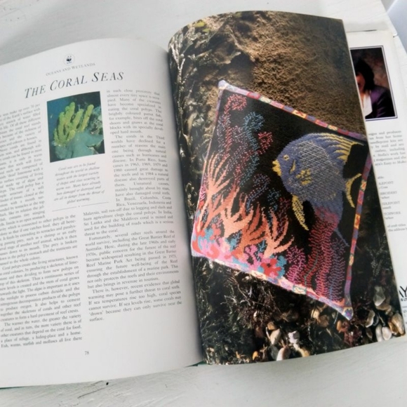 Wwf | Other | Wildlife Needlepoint How To Wwf Stella Edwards | Poshmark